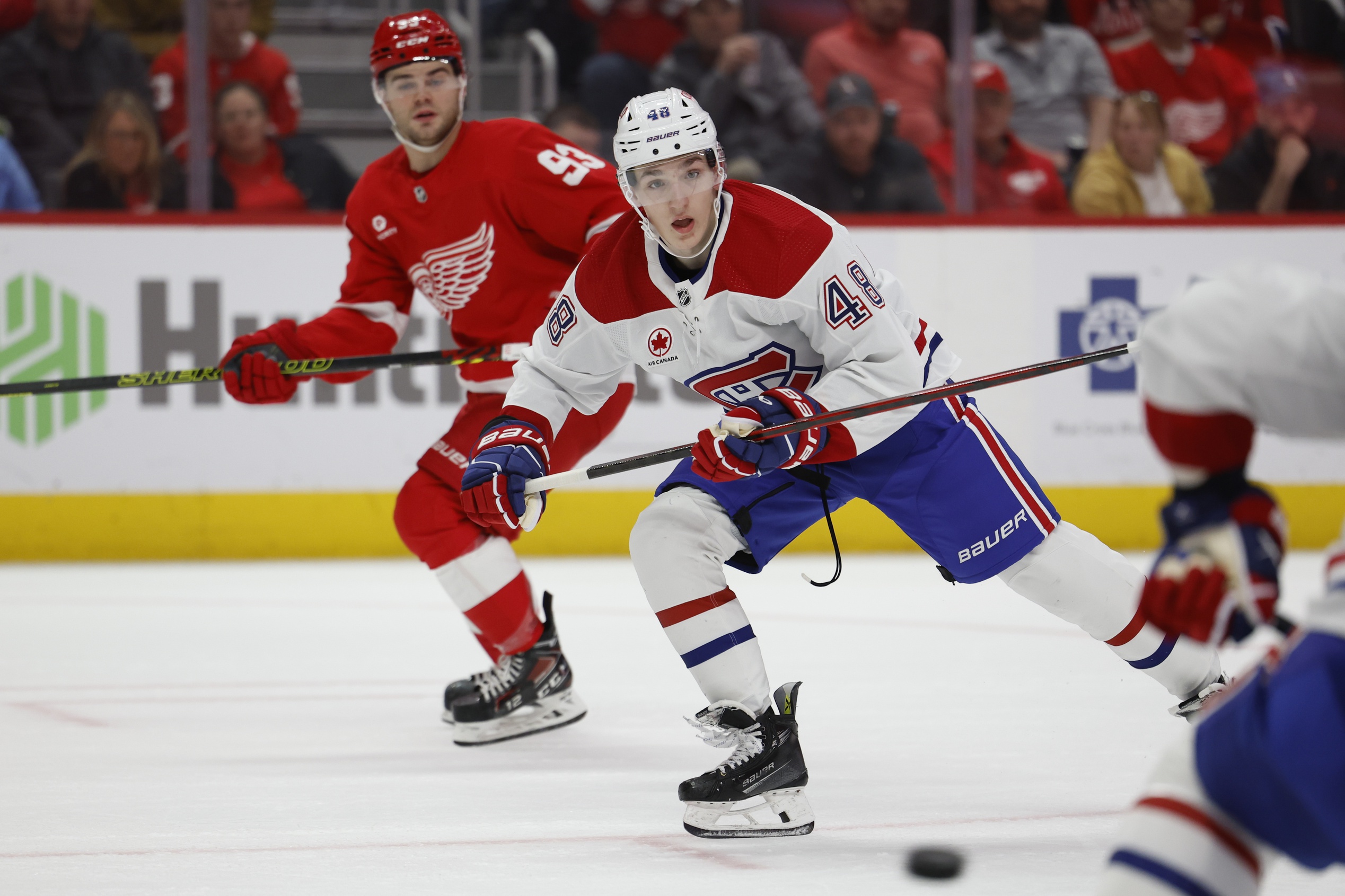 Lane Hutson encore et encore - La Poche Bleue