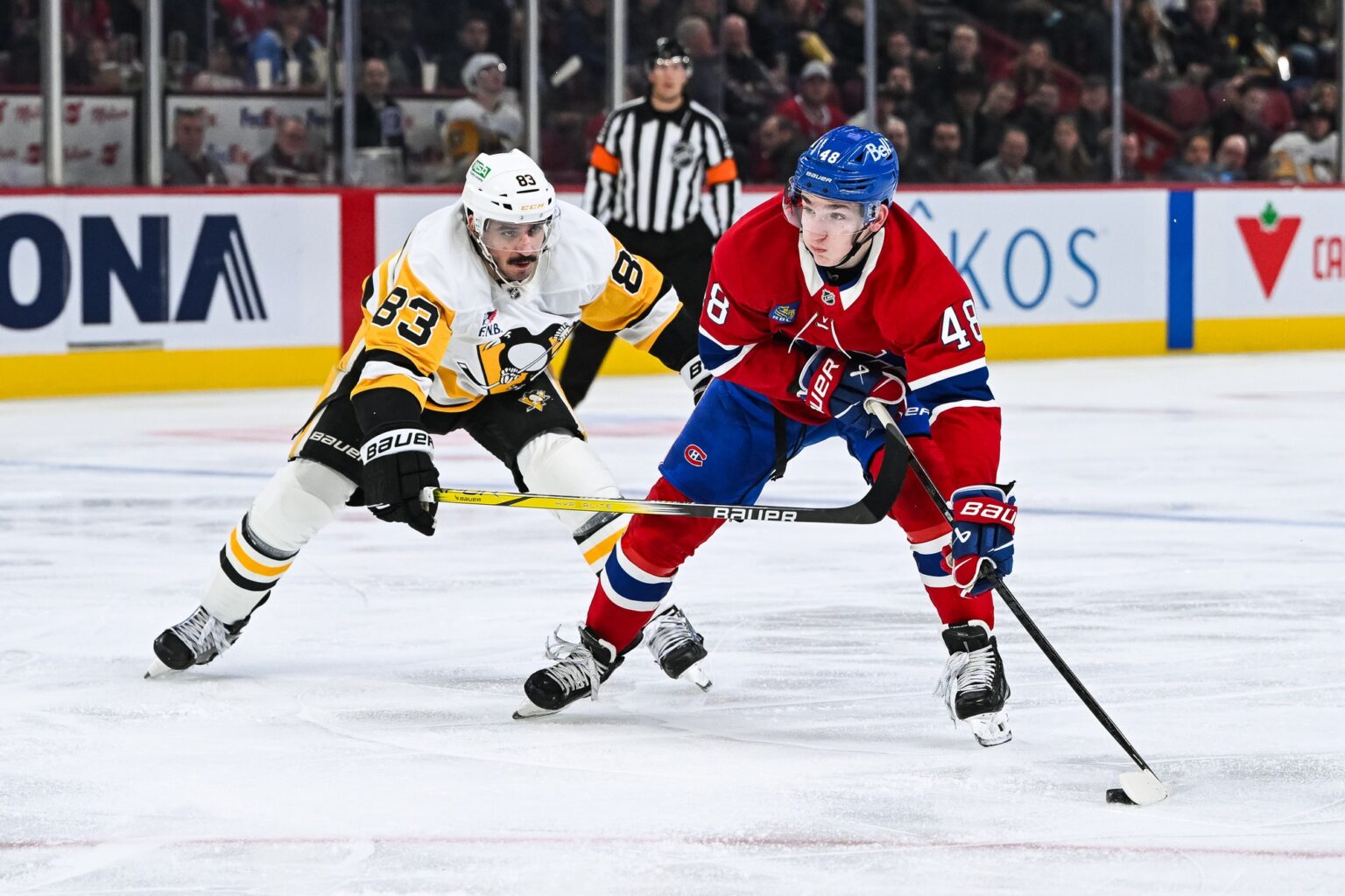 Un tour de magie signé Lane Hutson - La Poche Bleue